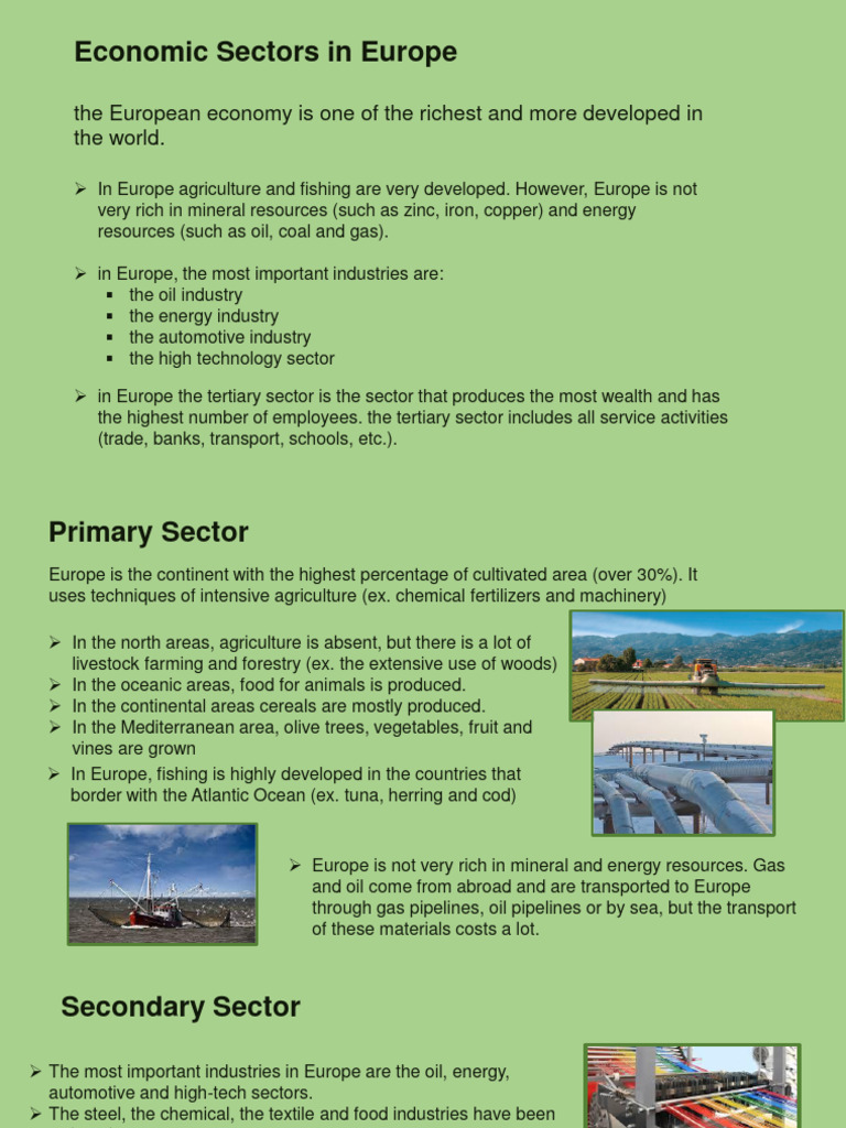 The Economic Sectors in Europe | PDF | Agriculture | Europe