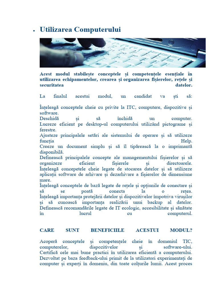 Utilizarea Computerului | PDF