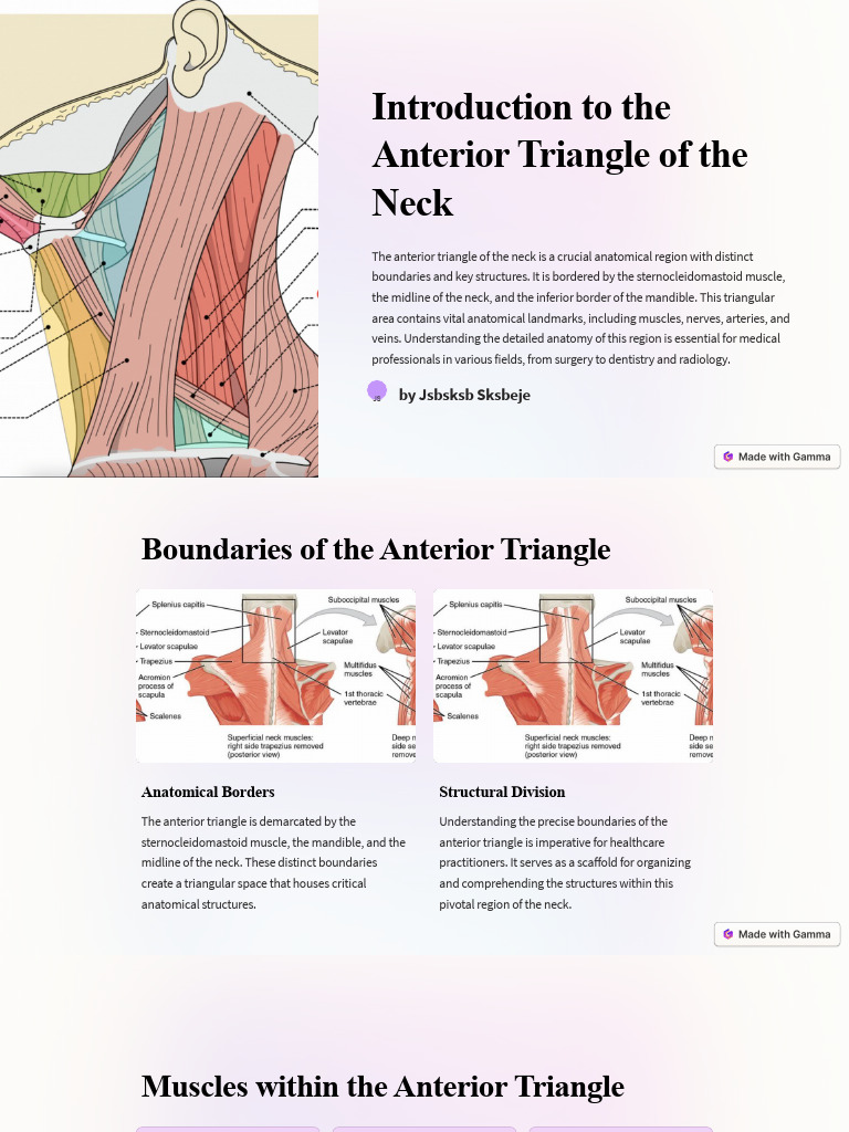 Introduction to the Anterior Triangle of the Neck | PDF | Neck | Common ...
