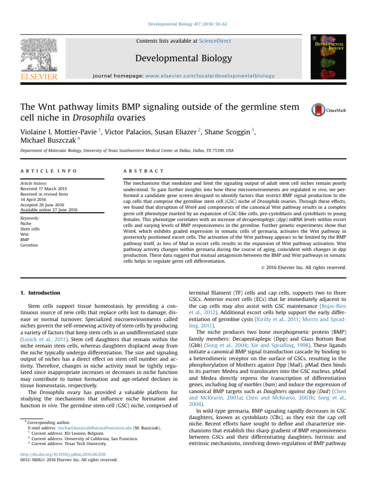 WNT Pathway Limits BMP Signaling Outside of The Germline Stem Cell ...