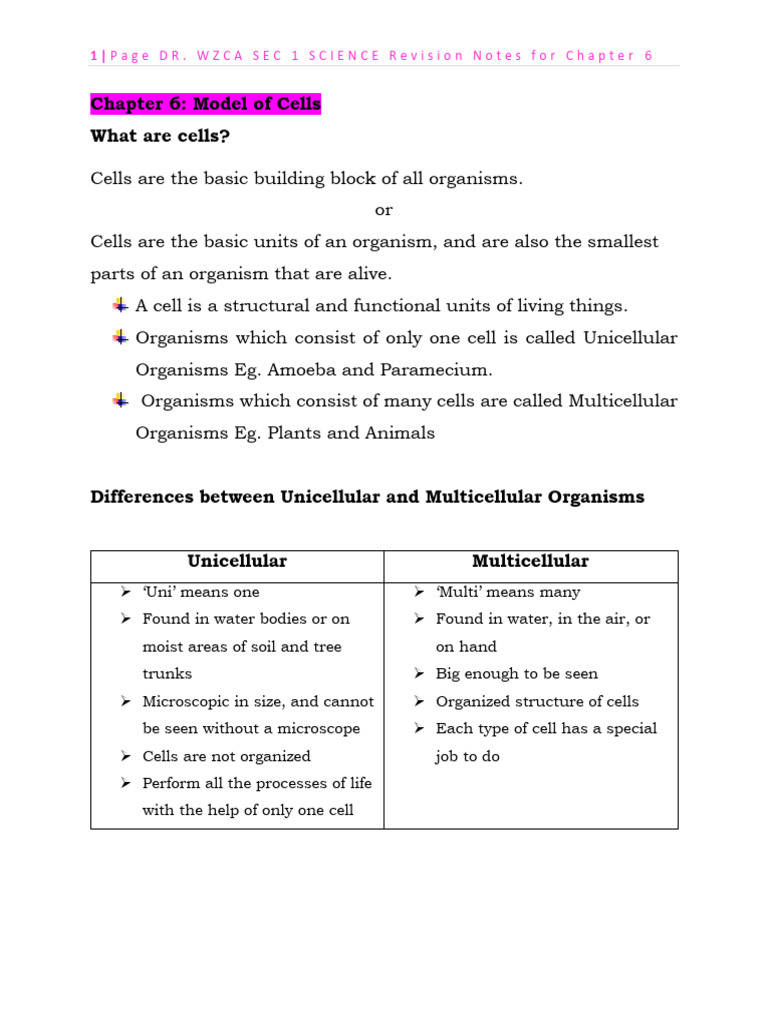 DR. WZCA SEC 1 SCIENCE Revision Notes For Chapter 6 | PDF | Cell ...