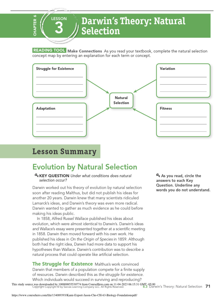 Darwin's Theory Natural Selection | PDF | Natural Selection | Adaptation