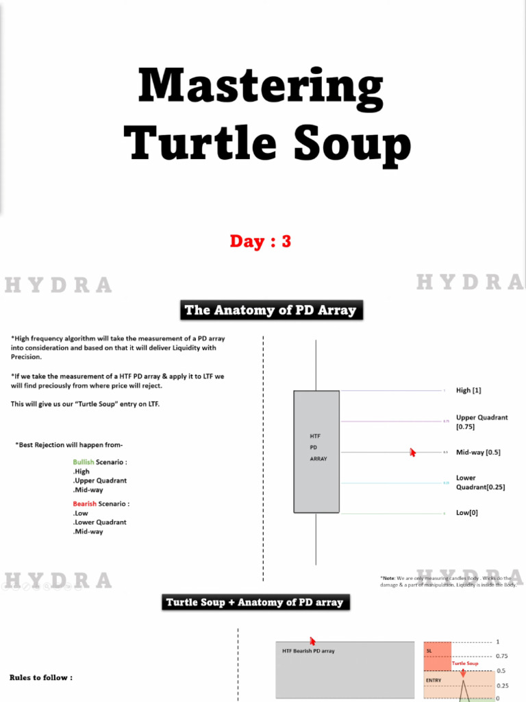 3 - Mastering Turtle Soup | PDF