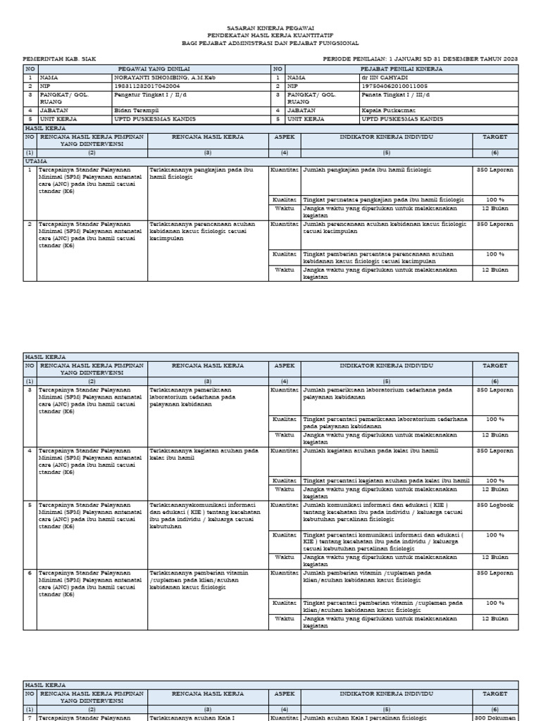 Sasaran SKP Nora | PDF | Bisnis