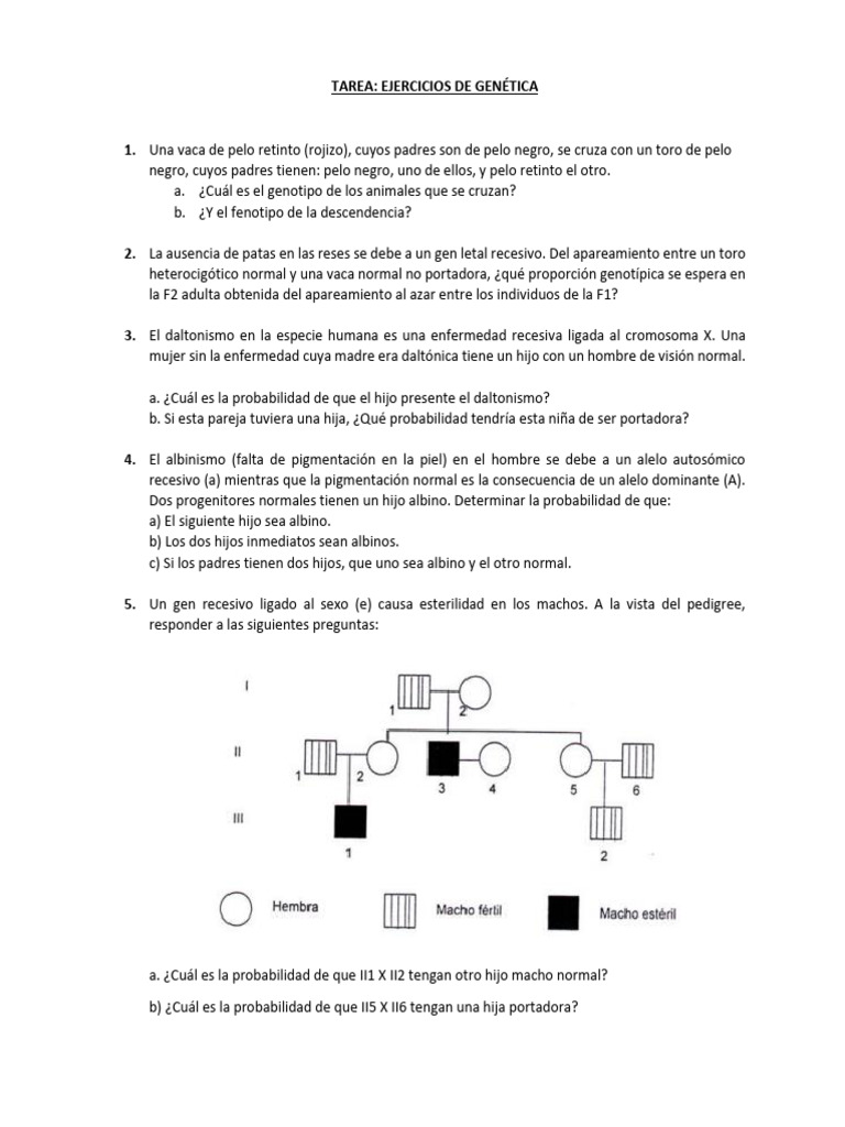 Tarea - Ej Genética | PDF