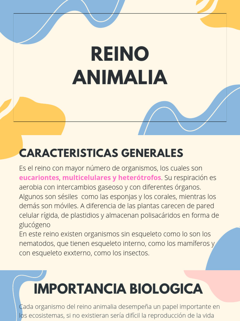 Reino Animalia