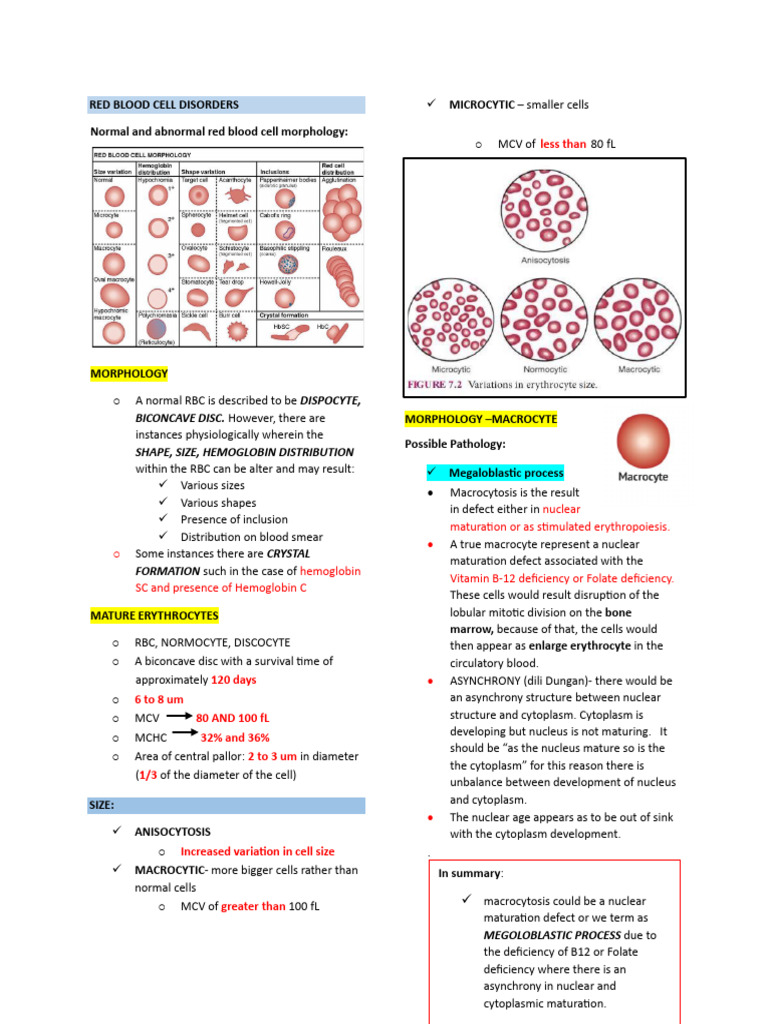 Red Blood Cell Disorders Part 1 and 2 | PDF | Anemia | Red Blood Cell
