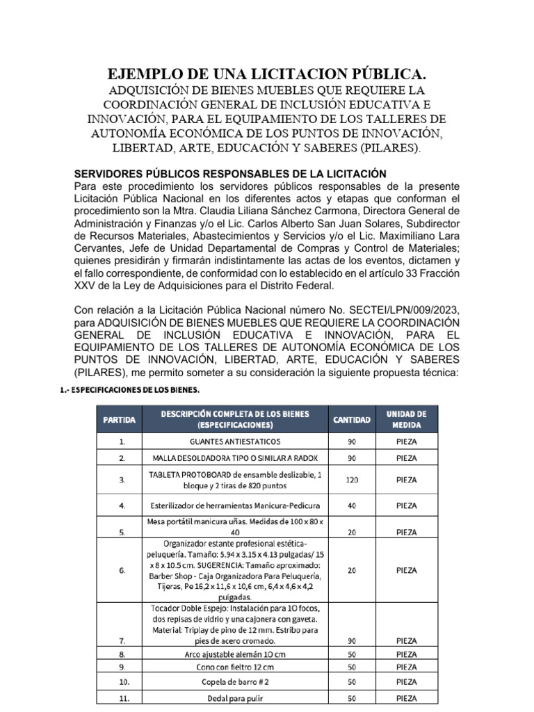 Ejemplo de Una Licitacion Pública | PDF