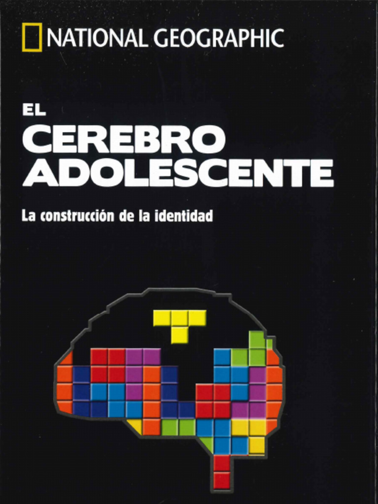 El Cerebro Adolescente Pdf Sinapsis Neurona