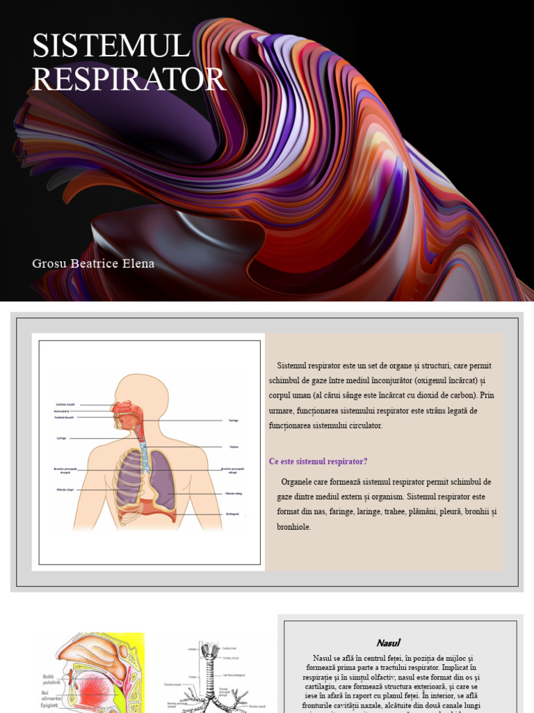 Sistemul Respirator | PDF