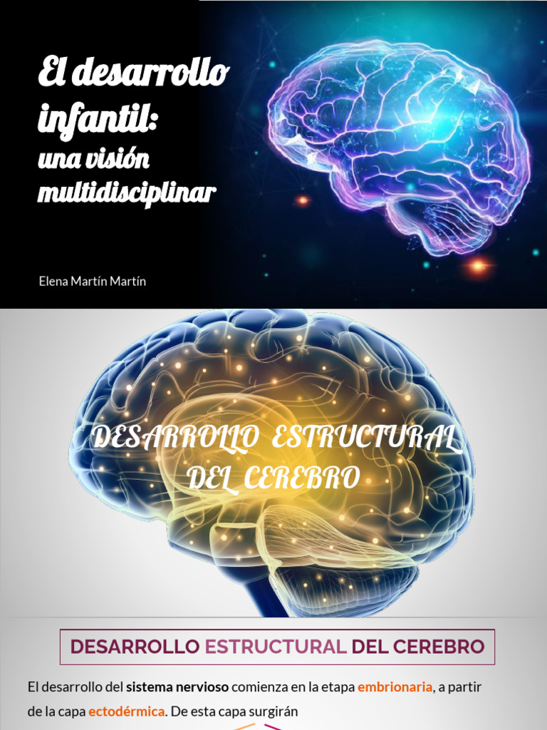 Presentación PPT Desarrollo Cerebral | PDF | Cerebro | Neurona