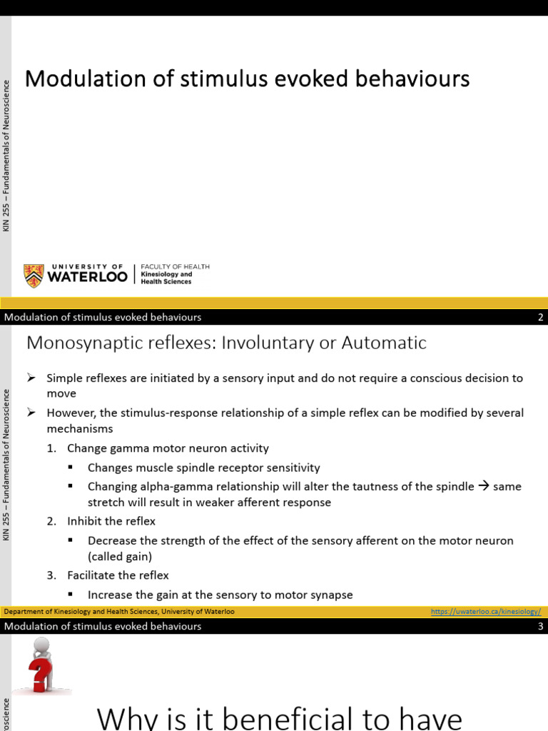 Lecture 6 - Modulation of Stimulus Evoked Behaviors | PDF