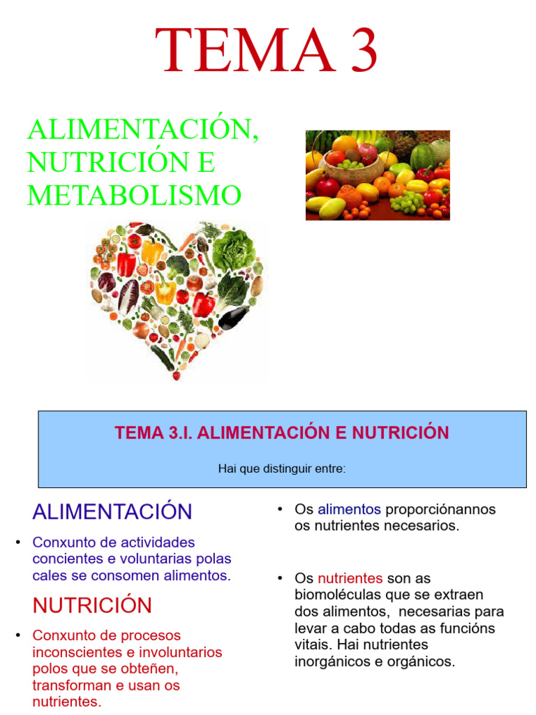 Presentación. Tema 3- Alimentación e Nutrición | PDF