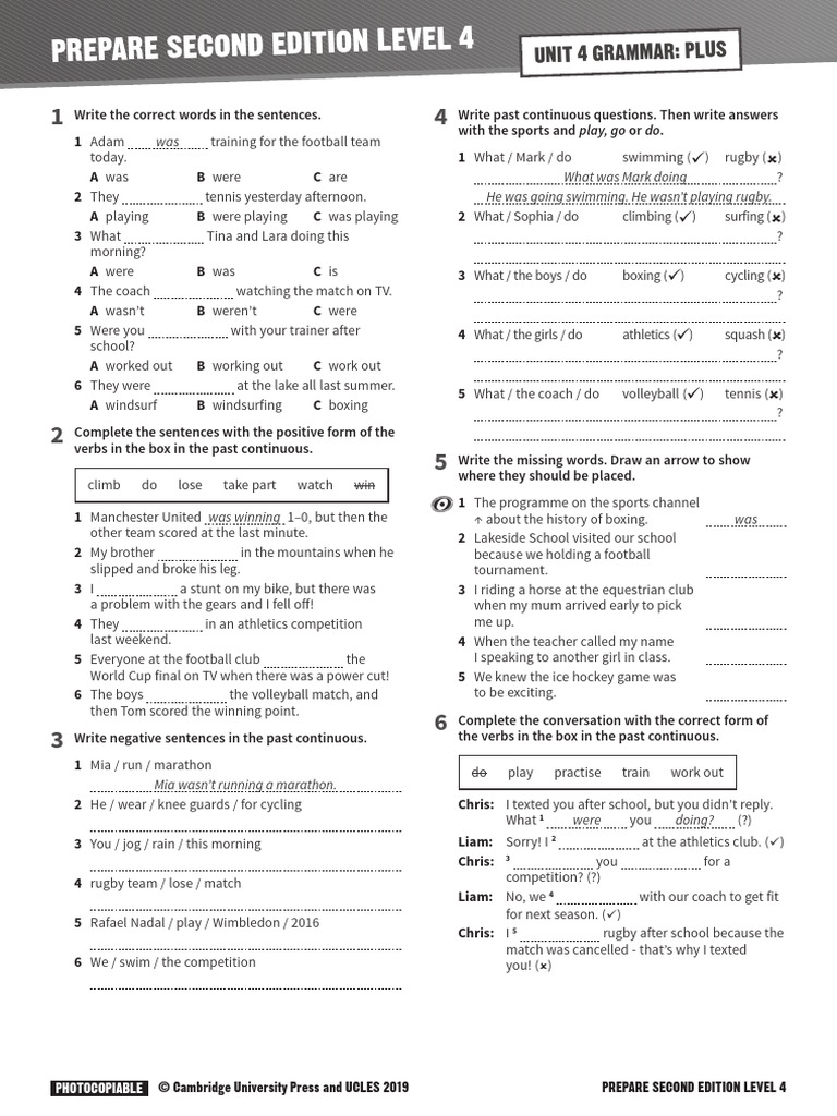 P4 - Grammar Worksheet - U4 | PDF | Sports