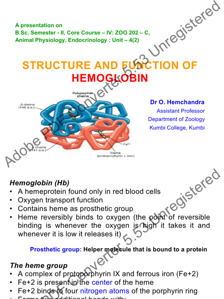 Unit 4 (2) Structure and Function of Hemoglobin | PDF | Hemoglobin ...