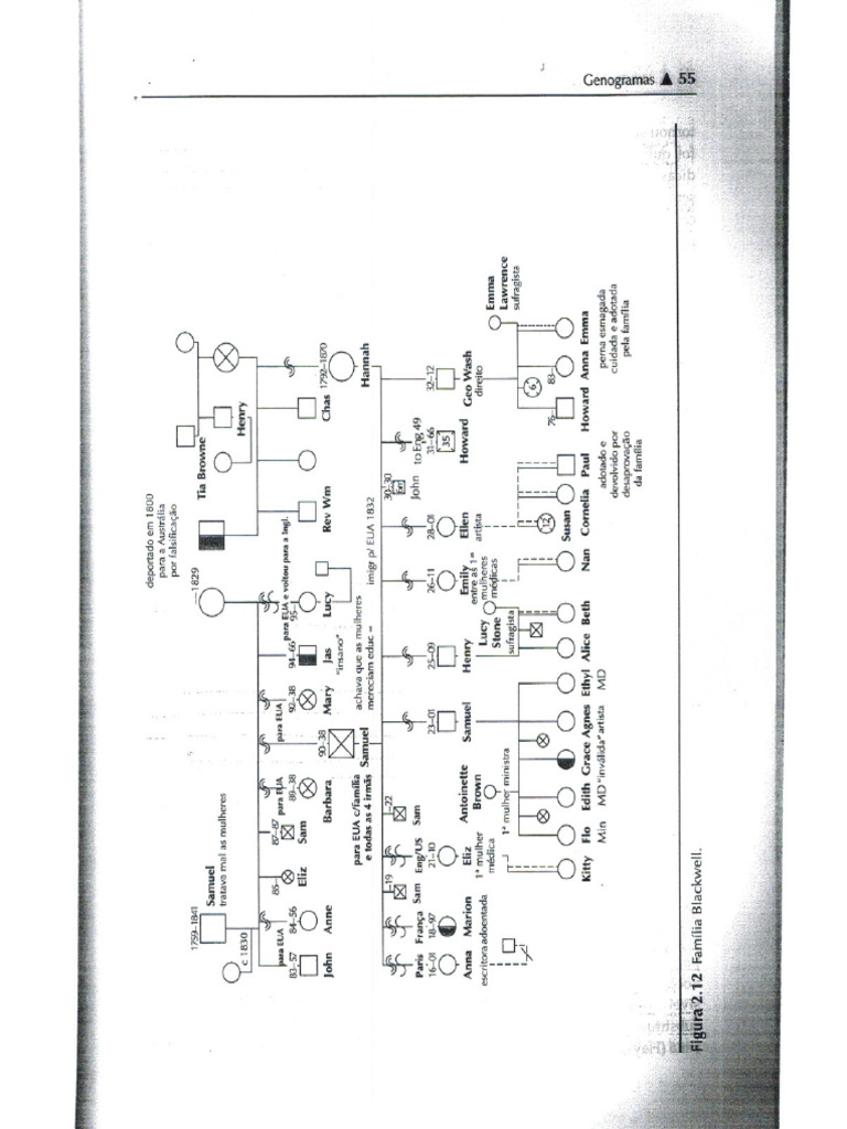 Genograma Cap 2 Parte 2 | PDF