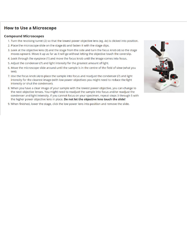 How To Use A Microscope | PDF