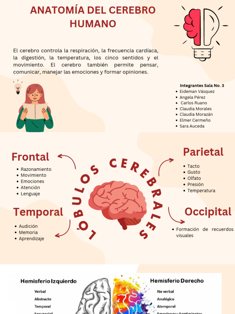Red and Pink Minimalist Simple Brain Mind Map | PDF