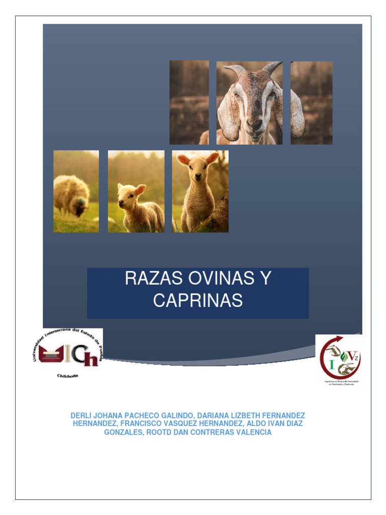 Razas Ovinas y Caprinas: Guía Básica | PDF