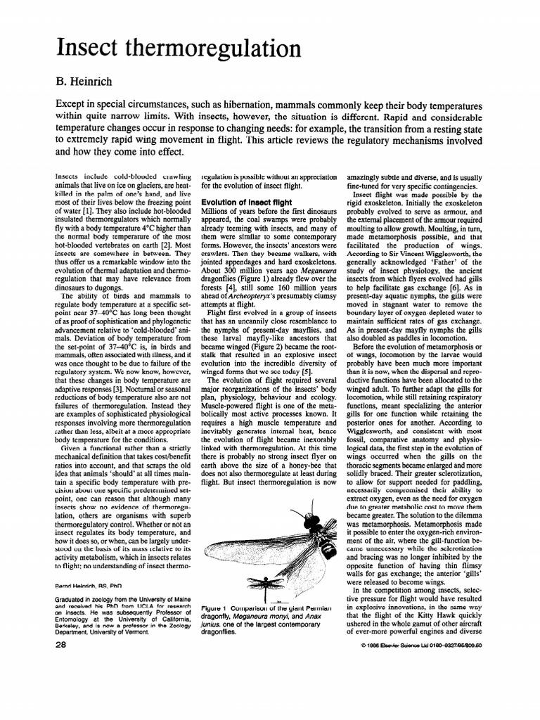 Insect Thermoregulation B Heinrich | PDF | Thermoregulation | Insects