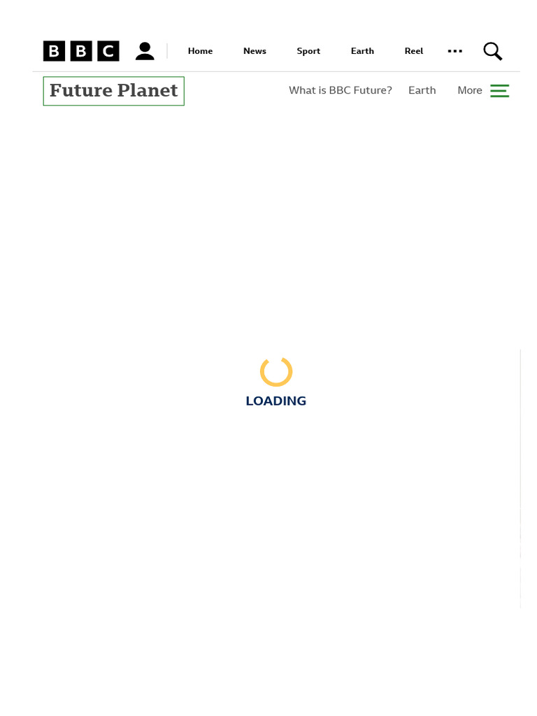 WWW BBC Com Future Article 20240111 The Us Is Bringing Back Beavers ...