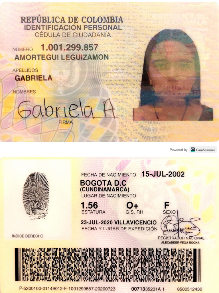 Cédula Gabriela Amórtegui | PDF