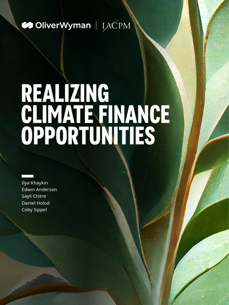Realizing Climate Finance Opportunities | PDF | Low Carbon Economy ...