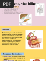 Anatomía y Clasificación del Colédoco | PDF | Vesícula biliar ...