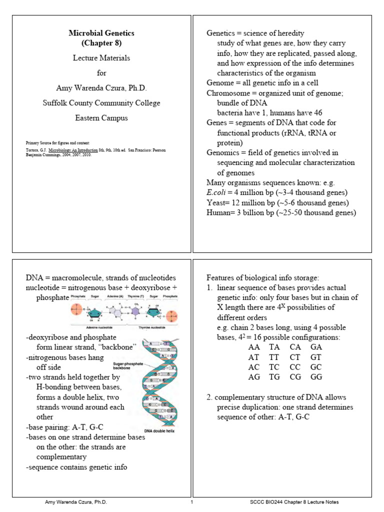 BIO244 Chapter 8 Notes | PDF | Translation (Biology) | Genetic Code