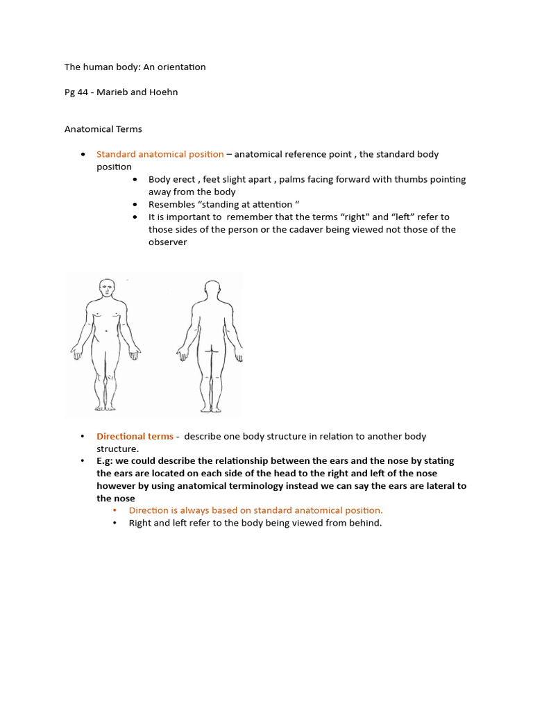 Human Anatomy Orientation Guide | PDF | Human Anatomy | Morphology ...