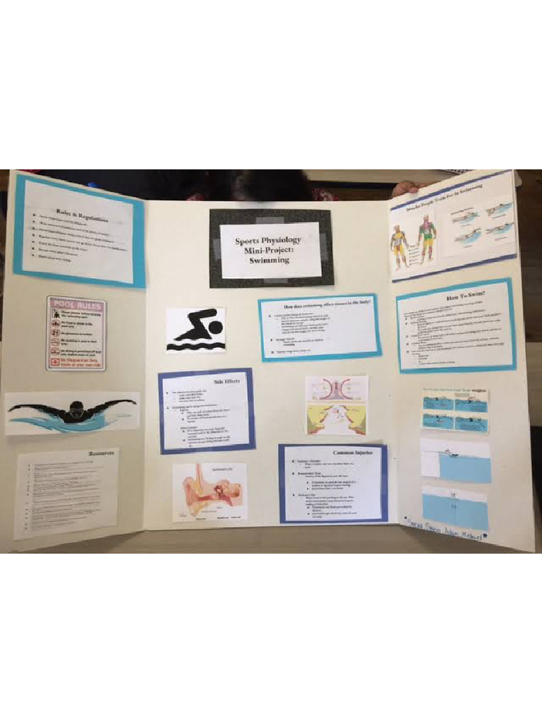 Physiology Wall | PDF