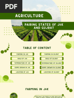 AIP On Sikkim | PDF | Poetry | English Literature