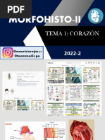 Esqueleto Fibroso del Corazón: Funciones y Estructura | PDF | Corazón ...