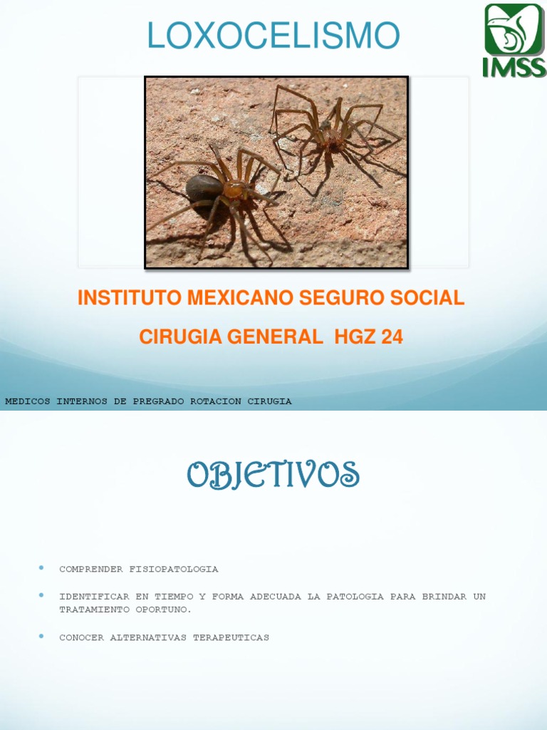 Loxoscelismo: Epidemiología y Tratamiento | PDF | Araña | Medicina