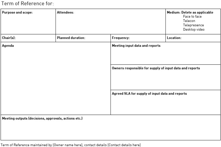 Meetings TOR Template | PDF