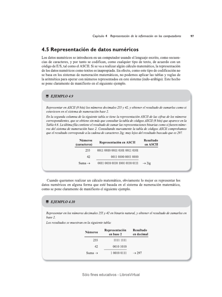 Cap4 RepresentacionNumeros Prieto | PDF