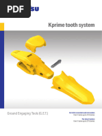 Kprime Tooth System Overview | PDF | Tooth | Wear