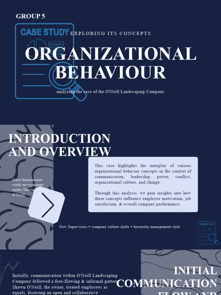 Organizational Behaviour analysis | PDF