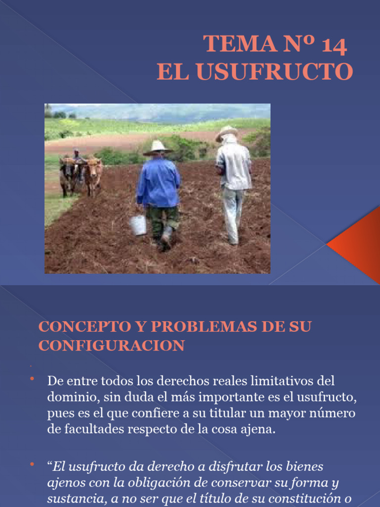 Tema 14 El Usufructo | PDF | Propiedad | Derecho privado