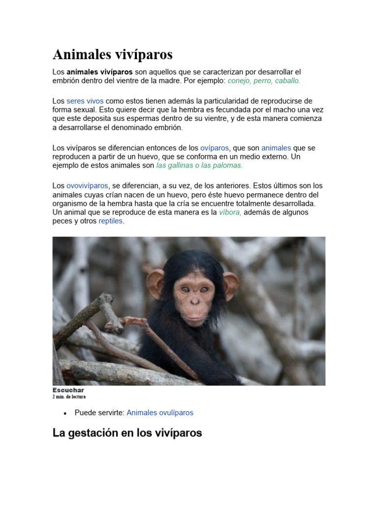 Animales Vivíparos | PDF
