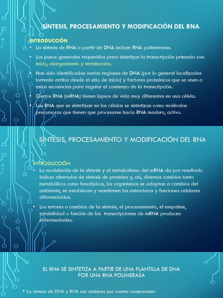 Síntesis y Procesamiento del RNA | PDF | Rna | Rna Splicing