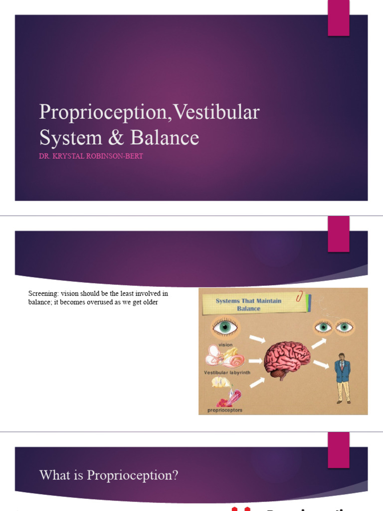 Proprioception, Vestibular & Coordination | PDF | Brainstem | Cerebellum
