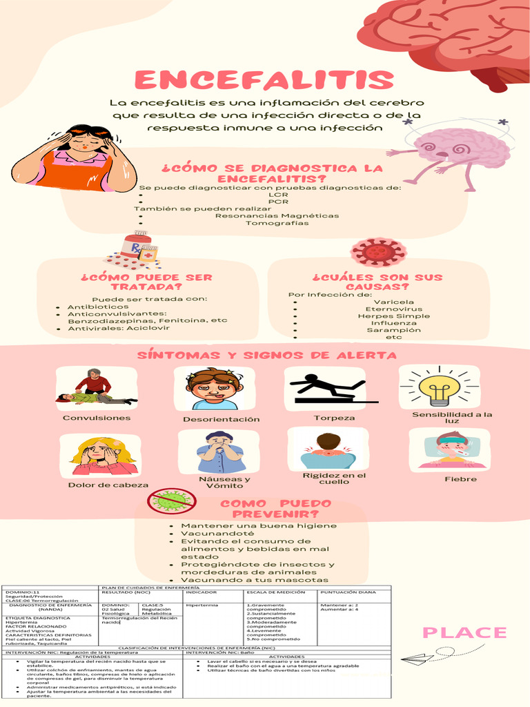 Infografia Encefalitis | PDF