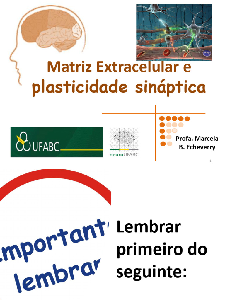 Aula 3 - Matrix Extracelular | PDF | Tecido (Biologia) | Fisiologia