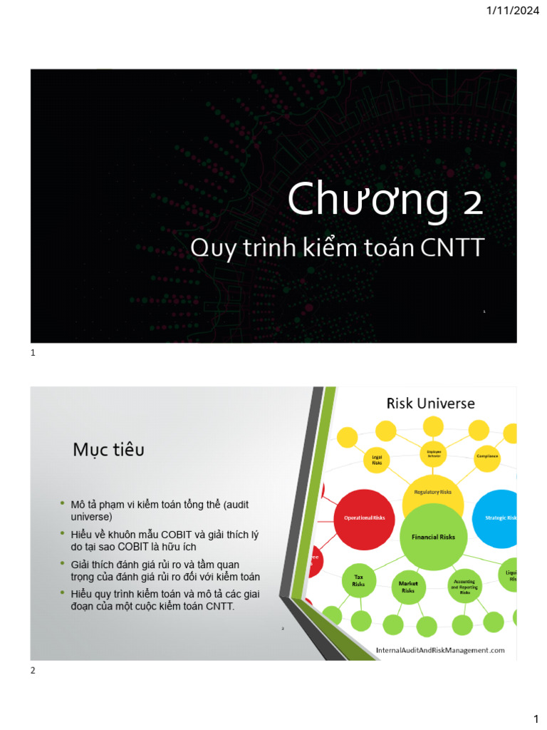IT Audit - C2 - Signed | PDF