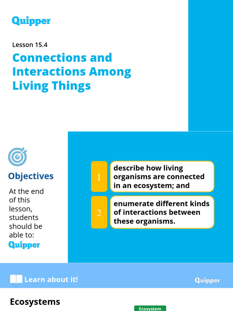Ecosystem Connections and Interactions | PDF