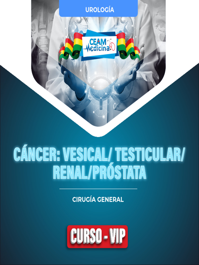 Cancer Vesical Testicular Renal y Prostatico 2023 | PDF | Cancer de ...