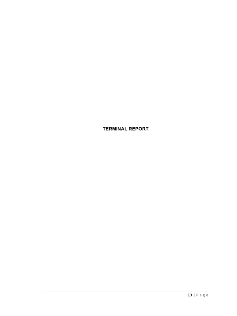 Final Terminal Report | PDF