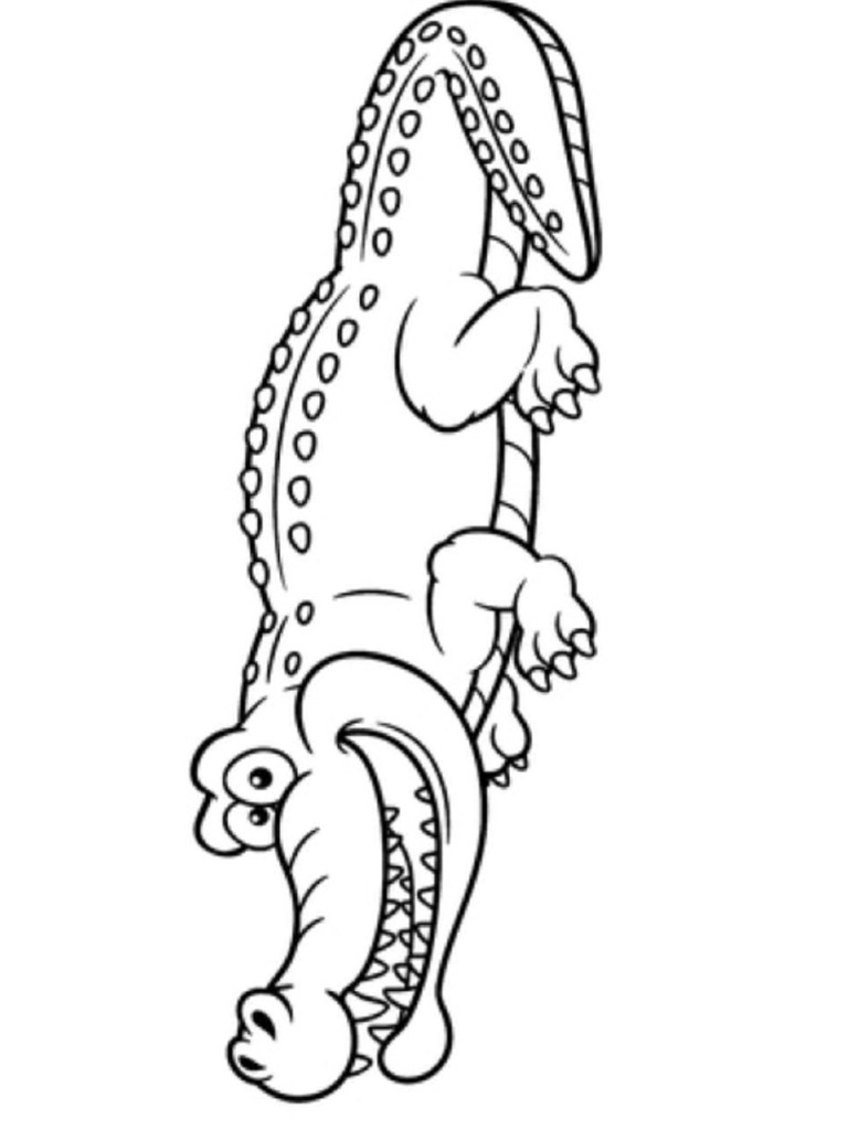 Animales de la selva | PDF