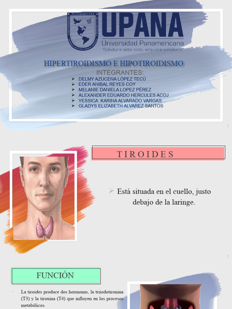 Hipertiroidismo e Hipotiroidismo #1 | PDF | Tiroides | Hipertiroidismo